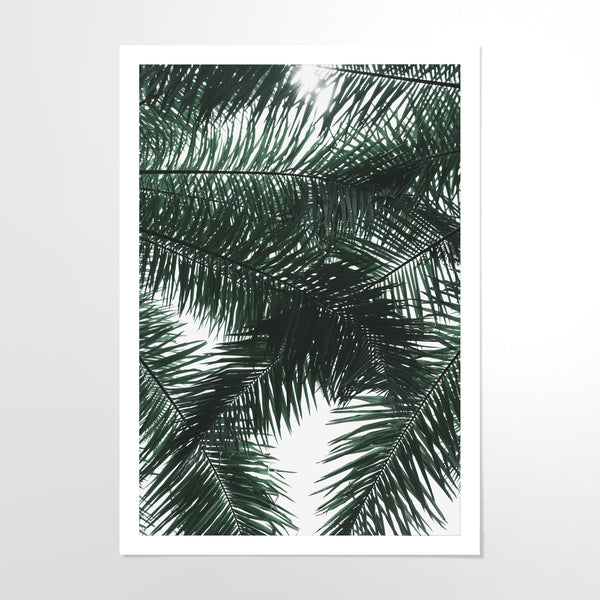 Phoenix_light – clintonfriedman.com